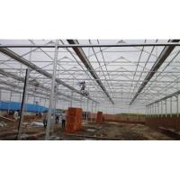 China PE Film Greenhouse Agriculture Tunnel Greenhouse For Flowers Plant for sale