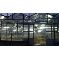 China PE Film Greenhouse Agriculture Tunnel Greenhouse For Flowers Plant for sale