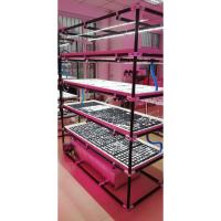 China Professional Vertical Seedling Flood Tables Hydroponic Grow Racks for sale