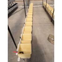 China Sustainable Beige Dutch Bucket Hydroponics System Agricultural for sale