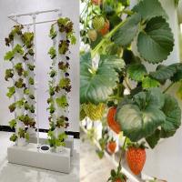 China Intelligent Hydroponics Vertical Garden Planting Herbal Plants NFT Growing System for sale