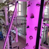 China New Vertical Hydroponic Cultivation System For Vegetables And Strawberries With LED for sale