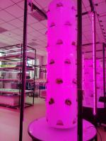 China New Vertical Hydroponic Cultivation System For Vegetables And Strawberries With LED for sale