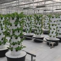China Vertical Hydroponic Aeroponic Growtower Sustainable Hydroponic System for sale