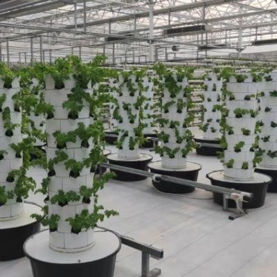 China Vertical Hydroponic Aeroponic Growtower Sustainable Hydroponic System for sale
