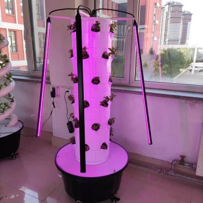 China Hydroponic System Aerpetta Strawberry And Leaf Vegetable Rotation With Lights for sale