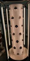 China Hydroponic System Aerpetta Strawberry And Leaf Vegetable Rotation With Lights for sale