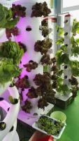 China 6p10 Hydroponics System Vertical Garden Tower indoor vegetable Garden towergarden aeroponics system for sale