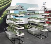 China commercial NFT hydroponic growing system greenhouse NFT hydroponic channel for sale