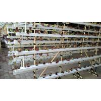 China Factory outlet hydroponic system multi-layers growing system save water and eazy growing for sale