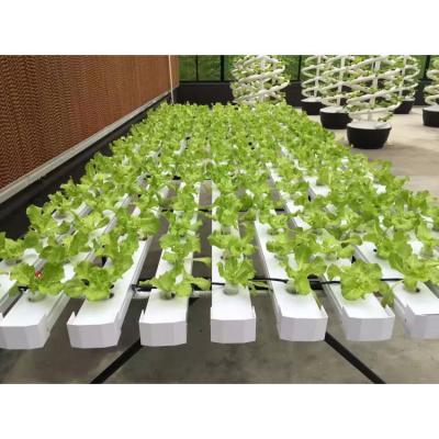 China Chinese factory industrial hydroponics growing systems NFT  for sale for sale