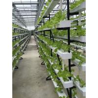 China New arrival Hydroponics NFT Greenhouse System with PVC Pipe growing Kits Indoor and Garden for sale