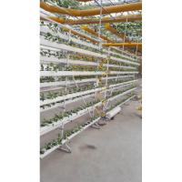 China New arrival Hydroponics NFT Greenhouse System with PVC Pipe growing Kits Indoor and Garden for sale