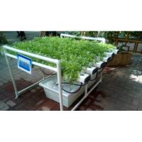 China New arrival Hydroponics NFT Greenhouse System with PVC Pipe growing Kits Indoor and Garden for sale