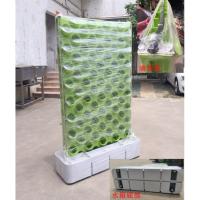 China Manufacturers china wholesale outdoor vertical garden self watering plant green wall for sale for sale