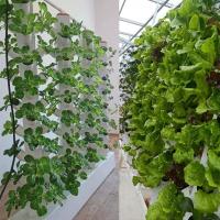 China Perfect Vertical Column Hydroponic Aeroponic Planting System Aeroponic Growtower for sale