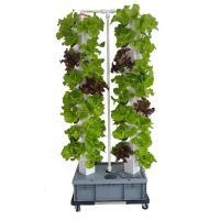 China Perfect Vertical Column Hydroponic Aeroponic Planting System Aeroponic Growtower for sale