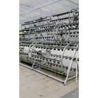 China Rotating Hydroponic Growing Systems Aquaponic For Vegetables Growing for sale