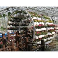 China Rolling Hydroponic And Rotating Hydroponic Equipment For Vegetables Growing for sale