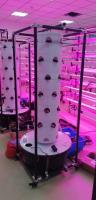 China Hydroponic System Aeroponic TowerGarden  rotating hydroponic For Leaf Vegetables for sale