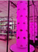 China Hydroponic System Aeroponic TowerGarden  rotating hydroponic For Leaf Vegetables for sale