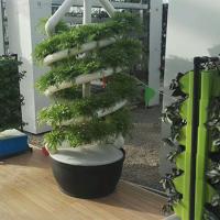 China Spiral Hydroponics Farm Vertical Hydroponics System for sale