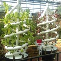 China Spiral Hydroponics Farm Vertical Hydroponics System for sale