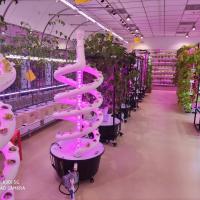 China Vertical Spiral Plant Grow Hydroponic Tower Cultivation garden aeroponics System for sale