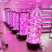 China Vertical Spiral Plant Grow Hydroponic Tower Cultivation garden aeroponics System for sale