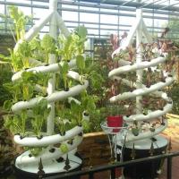 China Family Vertical Spiral Plant Grow Hydroponic Tower Indoor Vegetable Aerosol Cultivation for sale