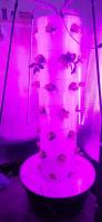 China Hydroponic System Aeroponic Tower For Strawberry And Leaf Vegetables Rotating Farming for sale