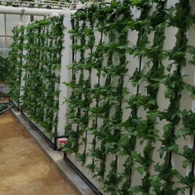 China Skyplant Customized NFT Vertical Climate Control Hydroponic Growing Systems for sale