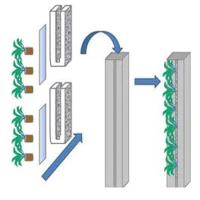 China Skyplant Customized NFT Vertical Climate Control Hydroponic Growing Systems for sale