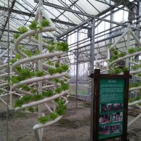 China Spiral NFT Hydroponic Garden Tower Hydroponic Garden Tower 200000 KG for sale