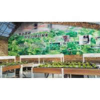China Aquaponics Greenhouse Hydroponics Growing System Fish Tank For Fish And Vegetable for sale