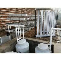 China Aquaponics Greenhouse Hydroponics Growing System Fish Tank For Fish And Vegetable for sale