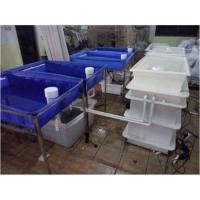 China Aquaponics Greenhouse Hydroponics Growing System Fish Tank For Fish And Vegetable for sale