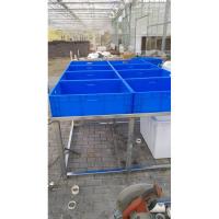China Aquaponics Greenhouse Hydroponics Growing System Fish Tank For Fish And Vegetable for sale