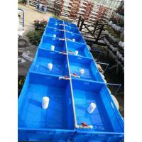China Aquaponics Greenhouse Hydroponics Growing System Fish Tank For Fish And Vegetable for sale