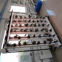 China Commercial Hydroponics Nft Strawberry And Flower Vertical Growing System Zipgrow Tower for sale