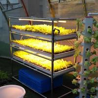 China Vertical Seedling Systems Commercial Ebb/Flow System Agricultural Greenhouses for sale