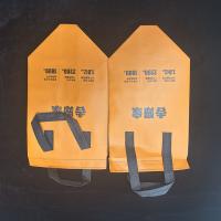 China Durable Washable Non Woven Bag 100gsm Reusable Custom Print PP Spunbond Eco for sale