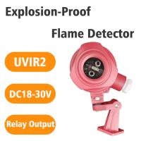 China UV IR Flame Detectors High-Performance Fire Alarm Flame Detector for Effective Fire Detection Explosion Proof Flame Detector for sale