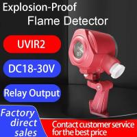China High-Performance Explosion-Proof UV IR2 Flame Detector – Professional Fire Alarm for Accurate Fire Detection for sale