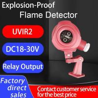 China High-Sensitivity High-Performance Explosion-Proof UV IR2 Flame Detector – Professional Fire Alarm for Accurate Industrial Fire Detection for sale