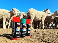 China Plyfit Livestock Marker Spray No Harm Cow Sheep Marking Spray Paint for sale