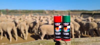 China Pigment Animal Marking Paint 500ml Bright Color Marking For Pig Sheep Cattle for sale