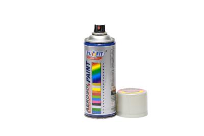China OEM Acrylic Metallic Chrome Flourscent Aerosol Spray Paint Car Wall Graffiti Spray Paint for sale