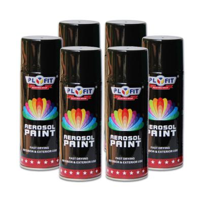 China Good Adhesiveness Aerosol Spray Paint 300ML Liquid Coating 5 Minutes Surface Dry Time for sale