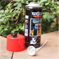 China Eco Friendly Artist ROHS Aerosol Spray Paint For Wood / Metal Surface for sale